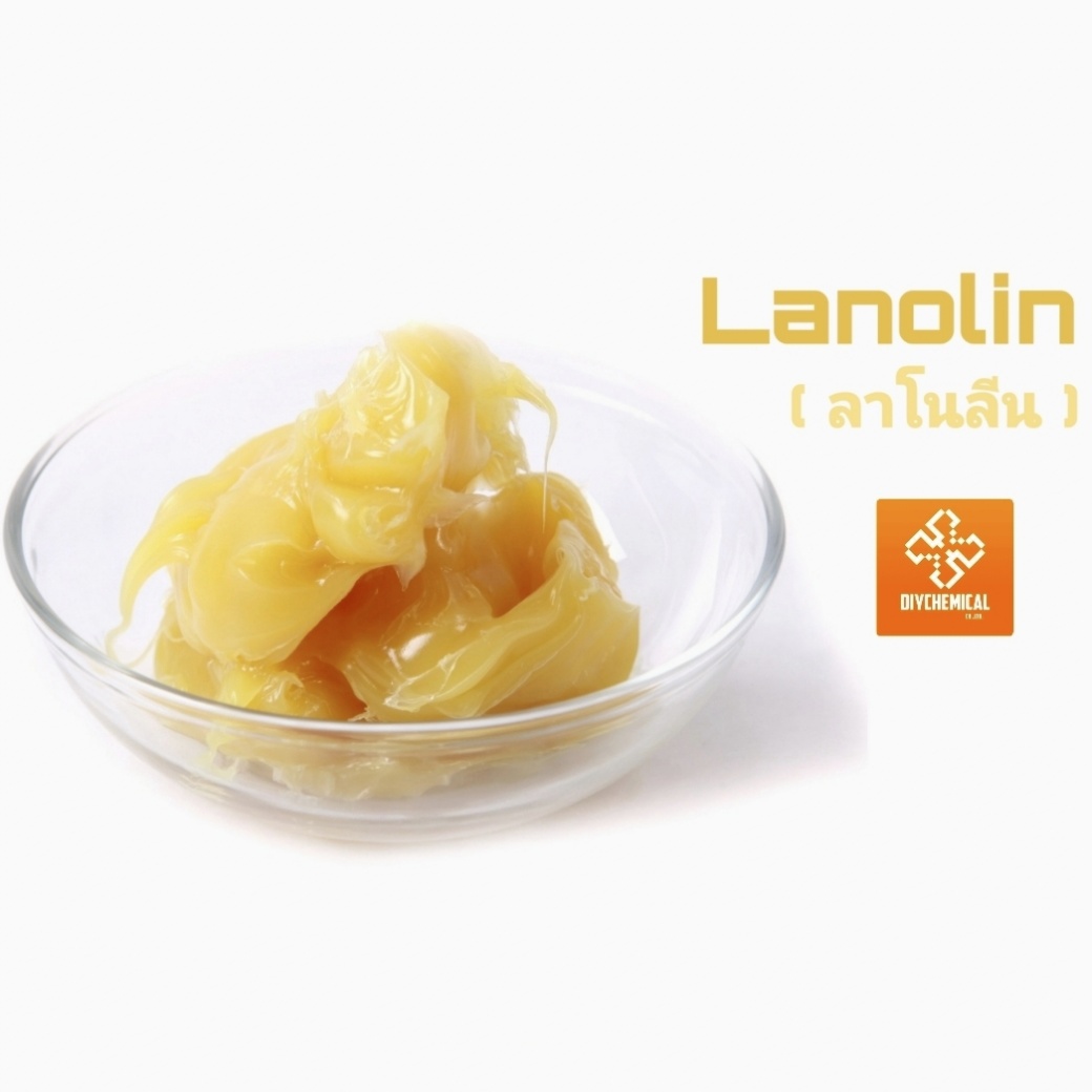 Lanolin (ลาโนลิน) - Diychemical